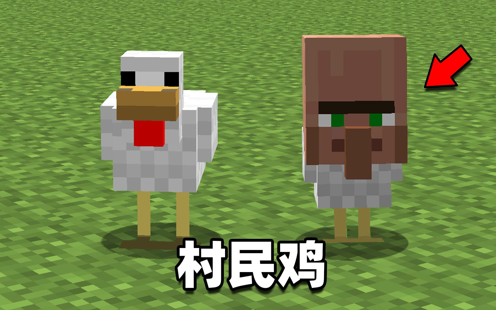 我的世界,但鸡和村民合体了!?