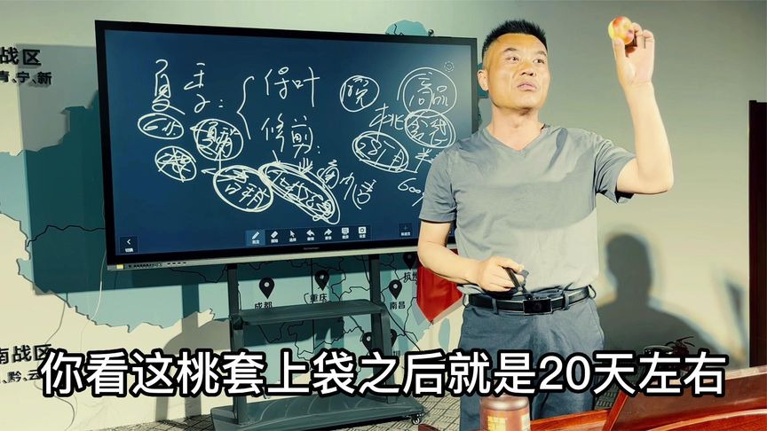 桃子品质如何提升?在系统化管理的基础上,再加一点!