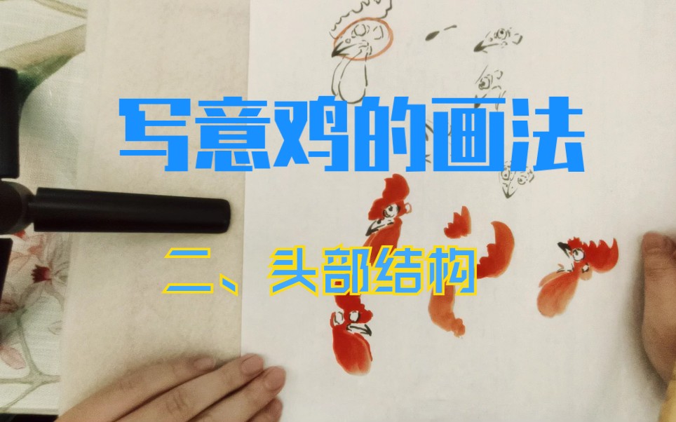 汉翔寒假国画知识点梳理禽鸟——鸡的画法2头部绘画