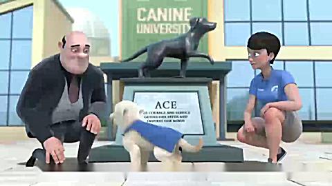 超励志的动画短片,一件事让小奶狗实现人生梦想,分分钟被萌哭!