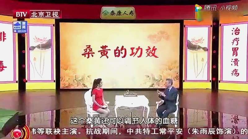 林中黄金数桑黄 桑黄的功效