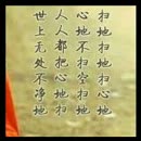 段声华0517 