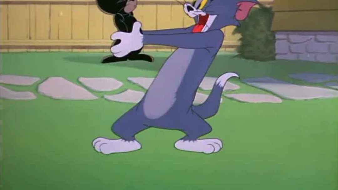 猫和老鼠:有趣的聚会