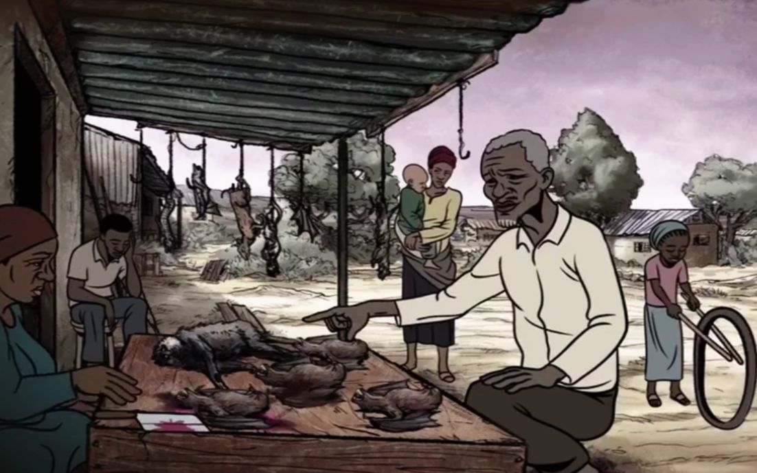 非洲爷爷买蝙蝠做汤喝,手沾上了蝙蝠血,几乎害死几十万人!