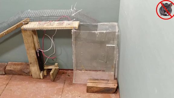 电击捕鼠神器,老鼠这下难逃一死了!