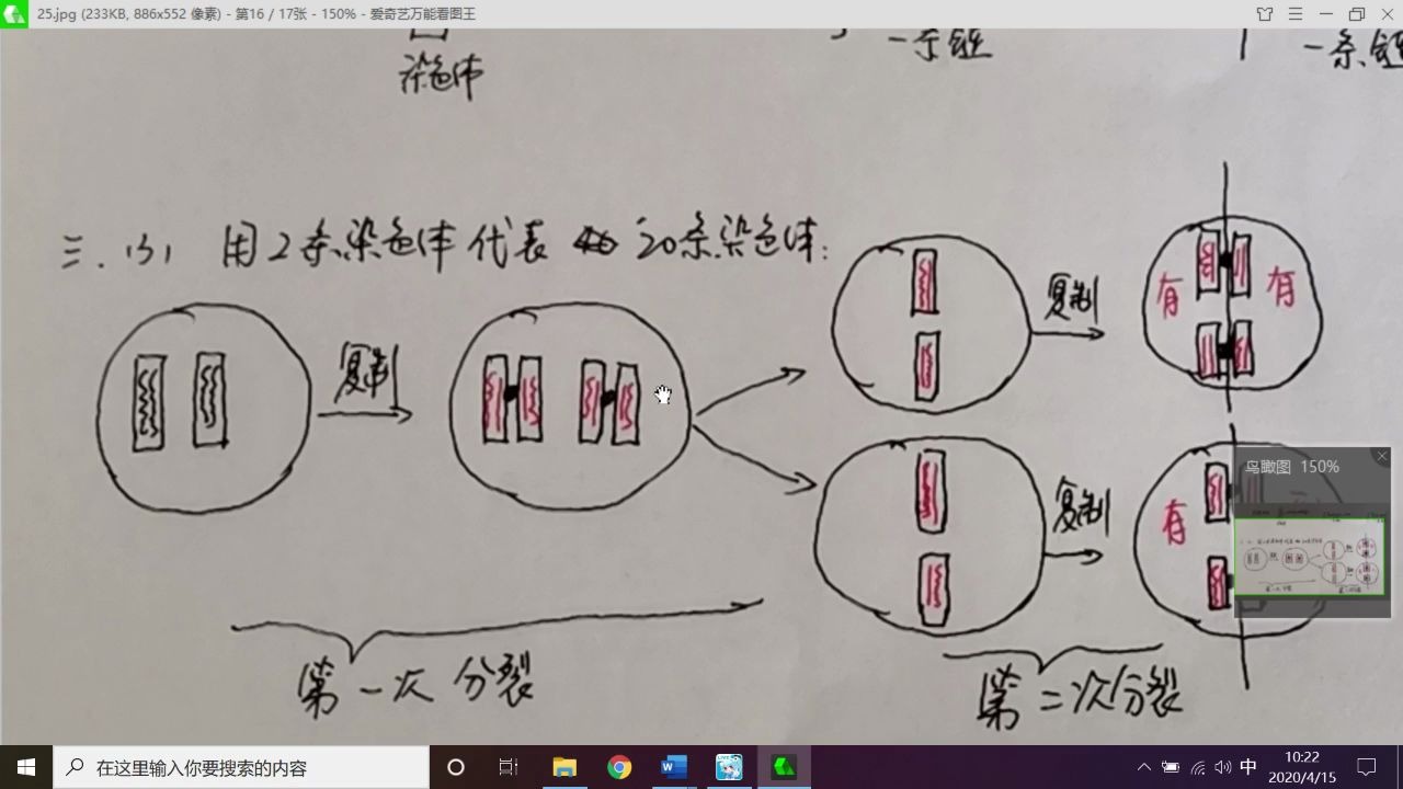 遗传信息的传递作业讲评