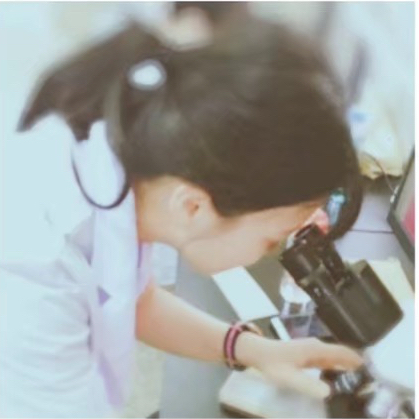 医学僧宁宁 