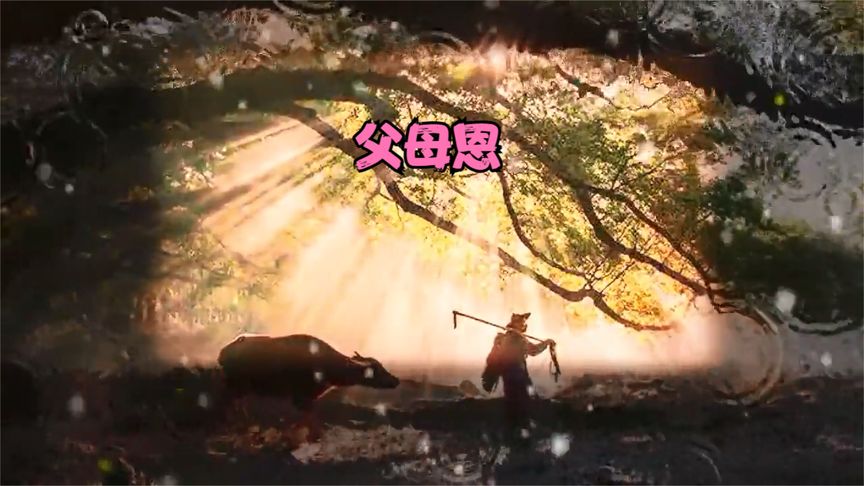 传统故事 传统文化 国学经典