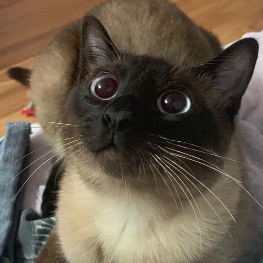 龟苓膏不爱吃零食 