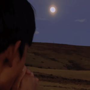 乘风破浪的冯先森 