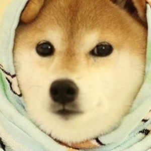 阿盘哟 