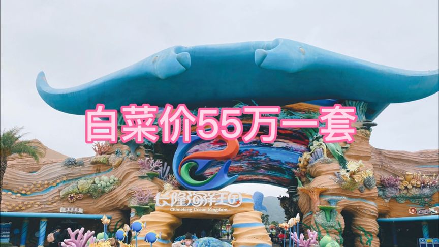 55万一套,收租2500