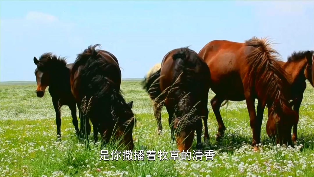 鄂托克前旗乌兰牧骑优秀歌曲MV《心中的牧歌献给党》