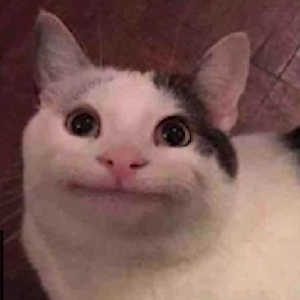 遇到困难睡大觉丨 