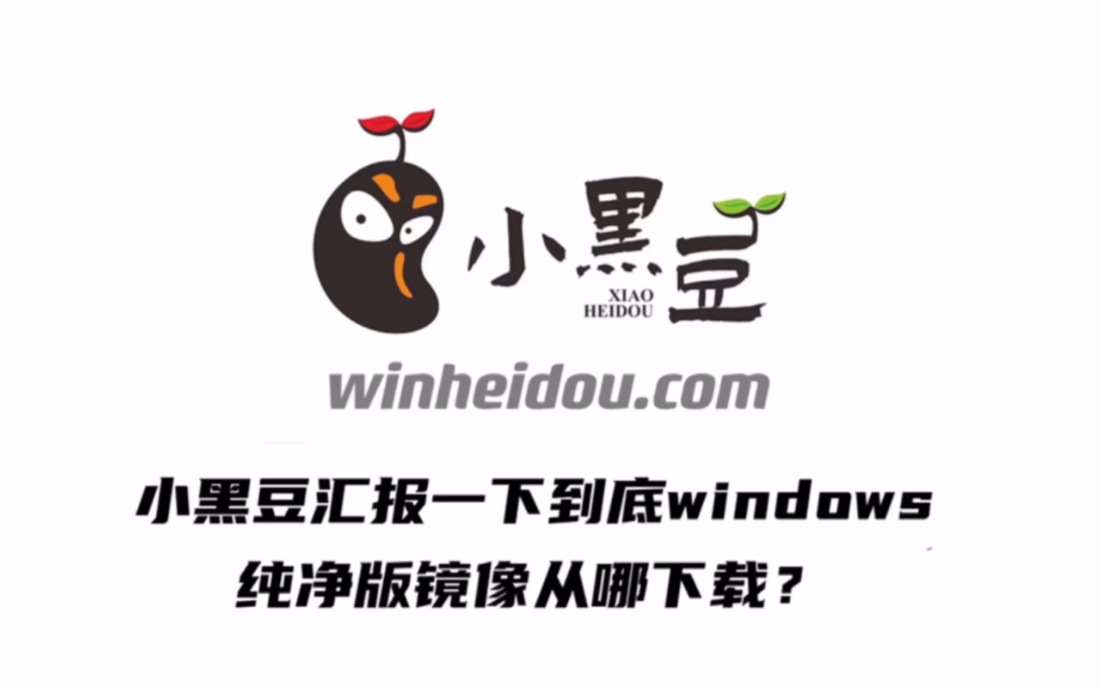 小黑豆着重汇报一下到底windows纯净版iso镜像从哪下载!