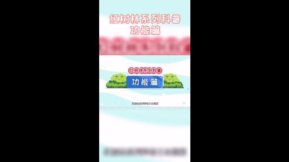 世界湿地日,让我们一起来保护红树林,保护野生动物的栖息地!