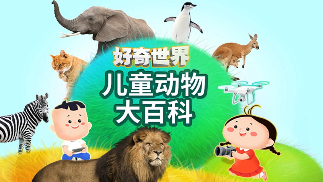 39.大熊猫——憨态可掬的国宝
