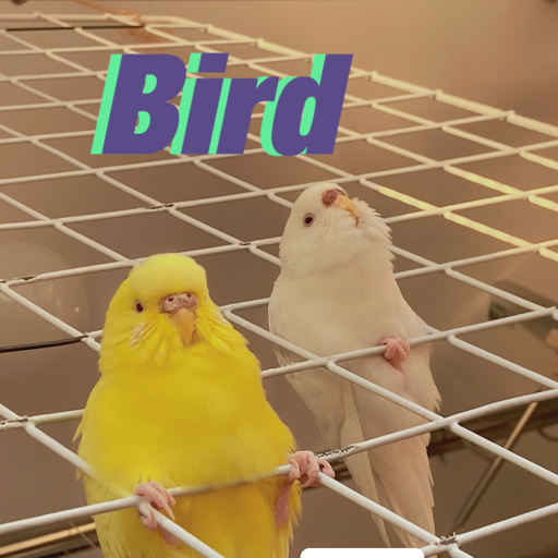 火娃biubiubiu 