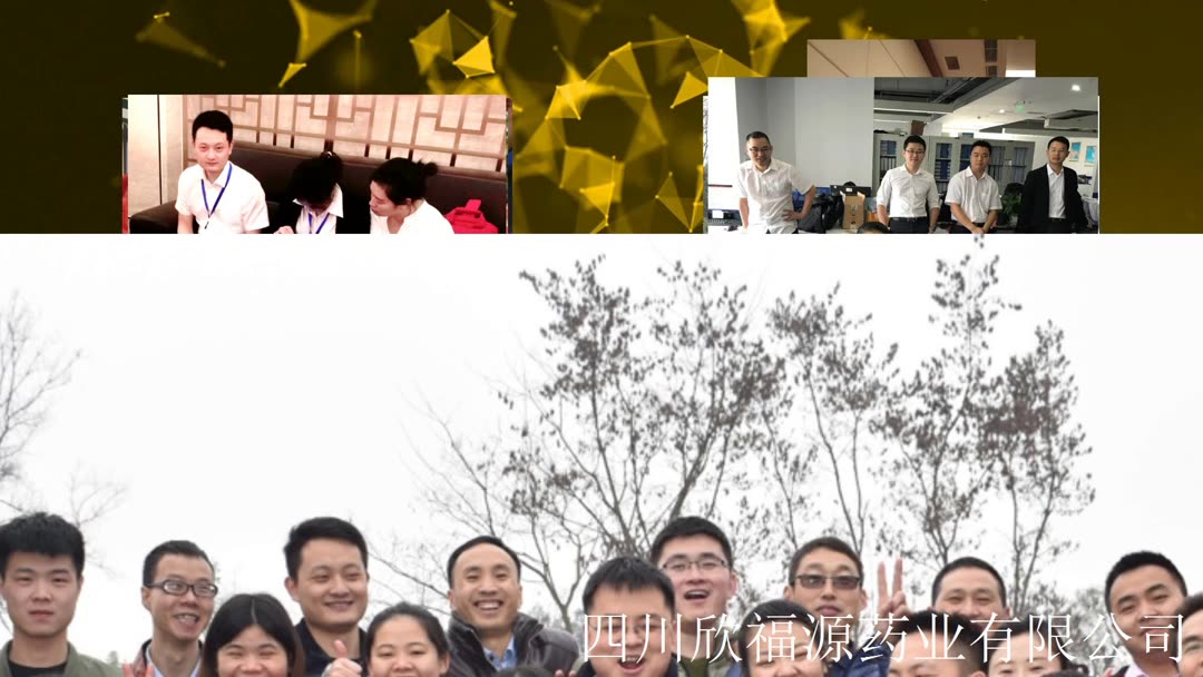 2017欣福源半年会-公司历程及团队展示