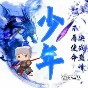 爱开车的少年 