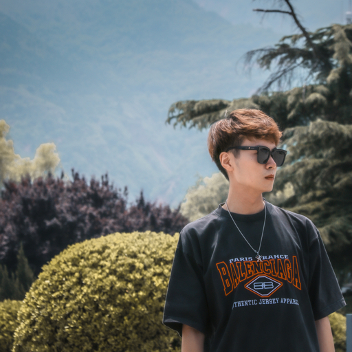 吃玫瑰的小烤猪 