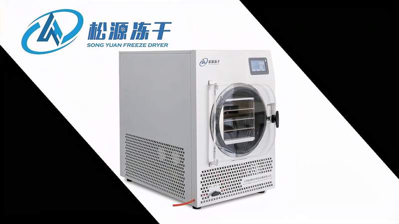 新款实验室冻干机冷冻干燥机原位冻干一键运行隔板控温