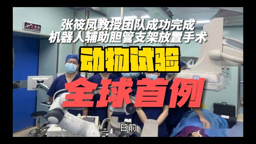 全球首例!张筱风团队成功完成机器人辅助胆管支架放置术动物实验
