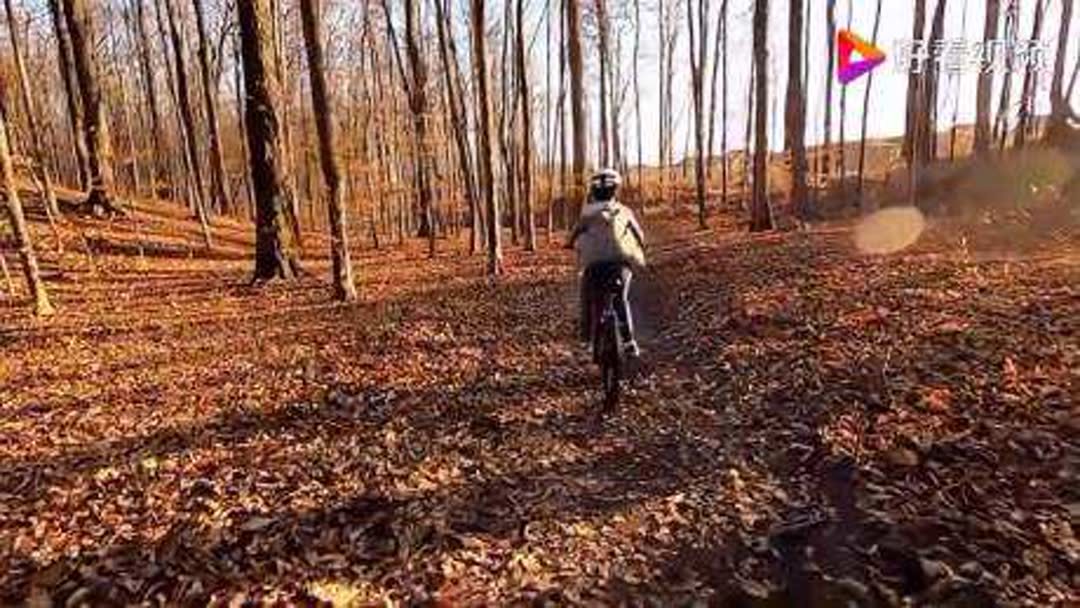 「国家来养老」新时代新任务 要相信国家 要有信心