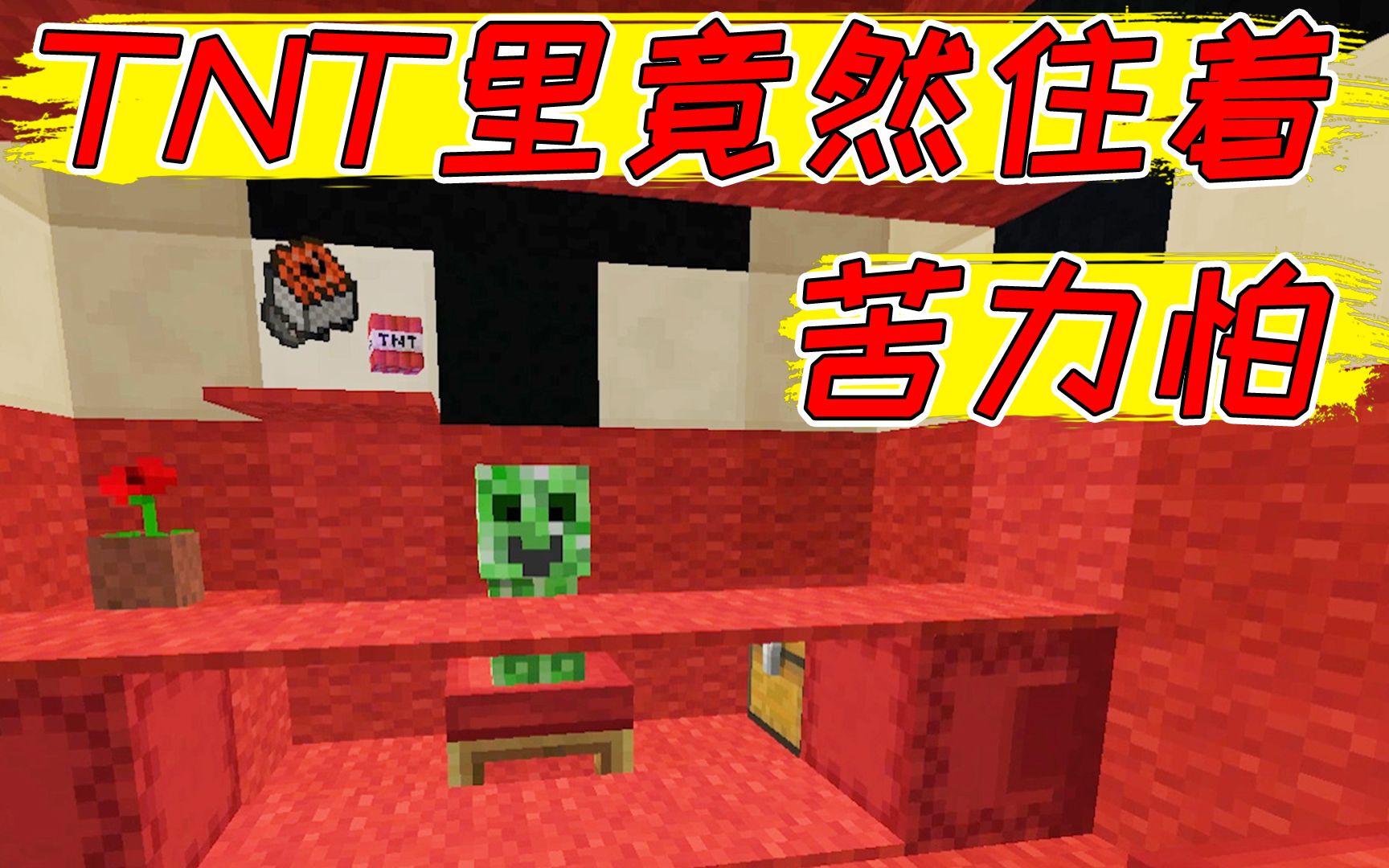 我的世界命令:TNT里面竟住着苦力怕,终于知道为什么TNT会爆炸!