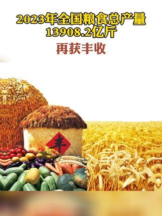 2023年全国粮食总产量13908.2亿斤,比上年增加177.6亿斤,增长1.3%,...