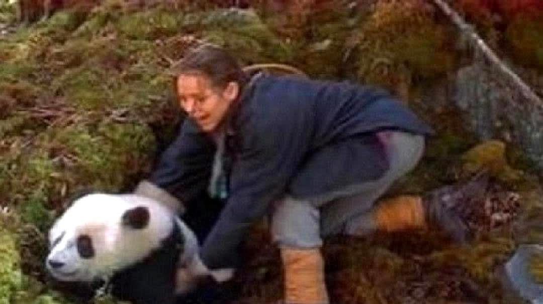 当年偷走大熊猫的美国人,把大熊猫卖9000美元,后来怎样了?