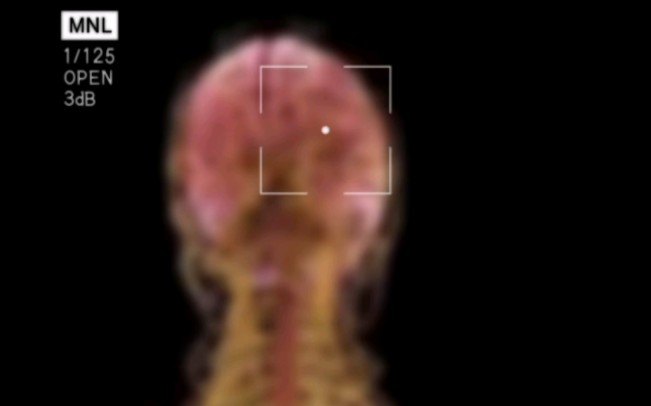 成年人的大脑到脚趾的距离大约 1.8 米左右。但两者之间的信息传递...