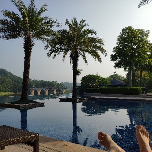 海豚家的车尾灯 