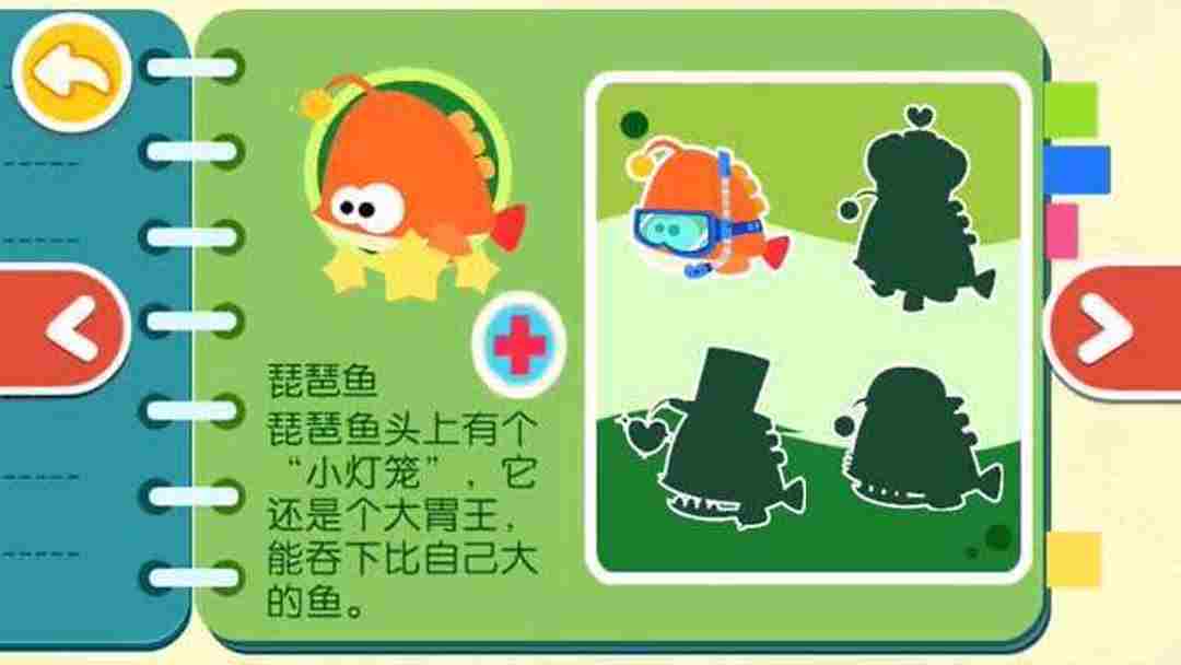 宝宝巴士:海洋动物介绍