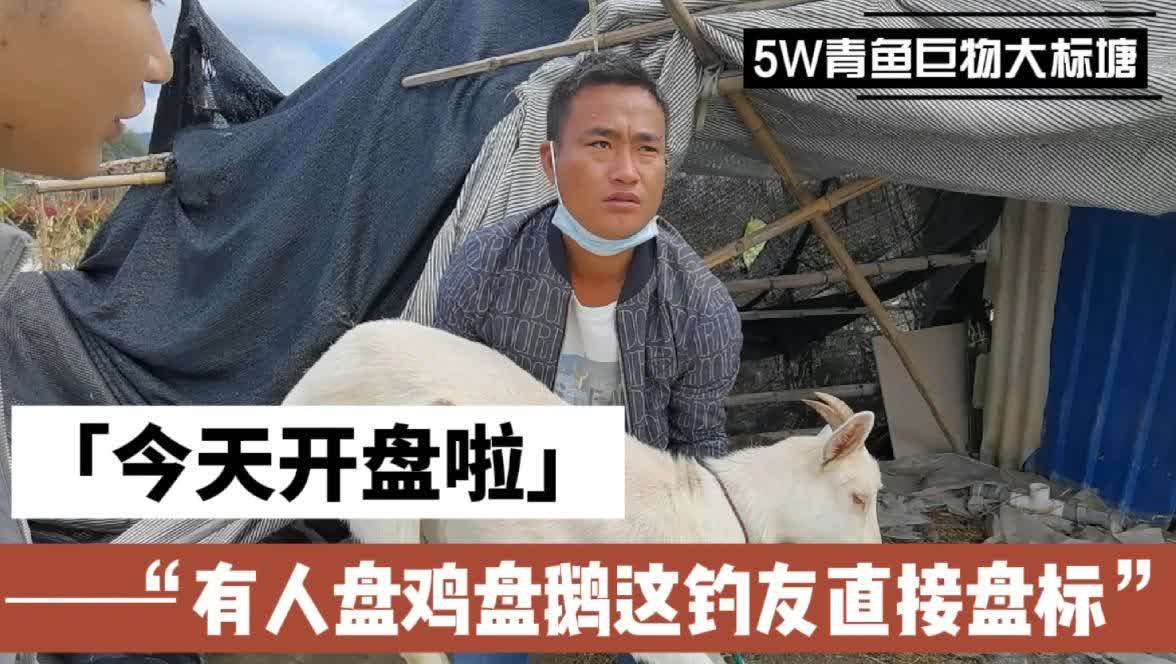 5w青鱼巨物标鱼塘今天开盘啦有人盘鸡盘鹅这位钓友直接盘只...