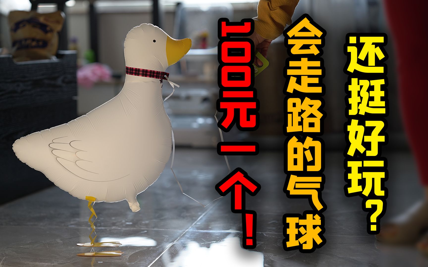 售价100元的会走路的气球?挺好的就是血亏了QAQ