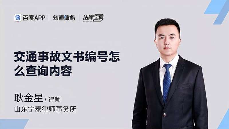 交通事故文书编号怎么查询内容