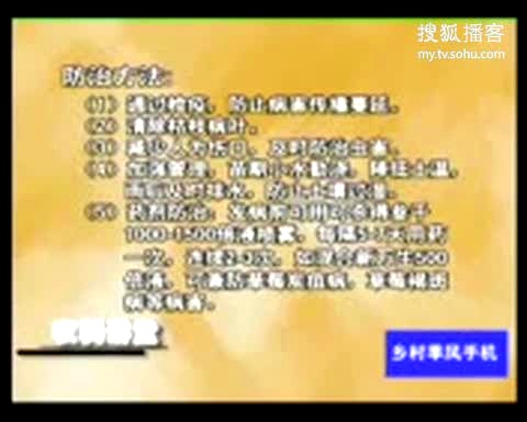 草莓细菌性病害