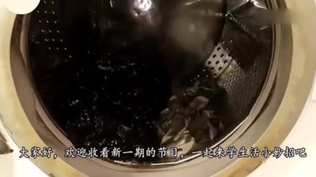 洗衣服时,在洗衣机里多倒一碗它,洗出来的衣服干净又柔软