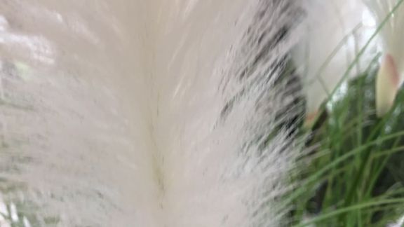 辛苦自己最好的犒劳就是一眼望去全是风景#幸福里讲解房产干货