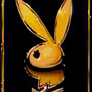 无极子爱生活 