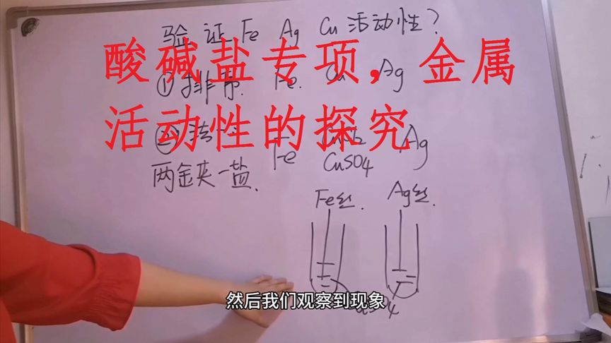 酸碱盐专项,金属活动性的探究