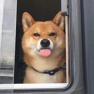 小王带你去提车 