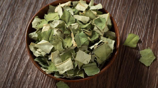 1种叶子是便秘“强大对手”,泡水喝排便一次比一次通畅