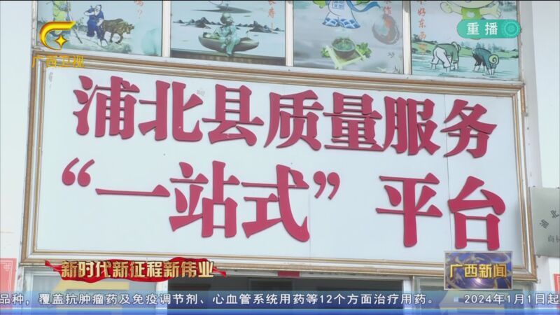 ...新时代新征程新伟业·稳经济 促发展 强信心 广西:“一站式”质量...