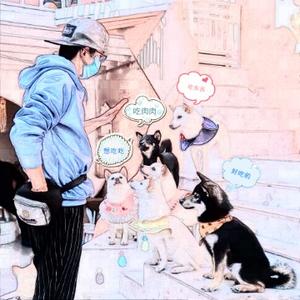 江酱与ta的四脚萌 