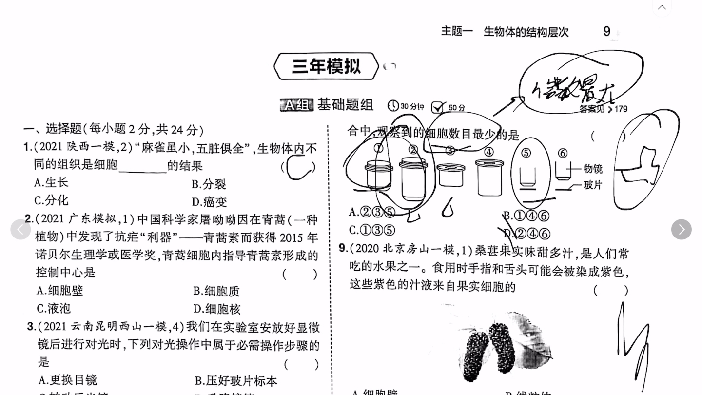 初中生物复习练习讲解 生物体的结构层次