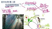 生态系统的结构与功能1-生态系统组成