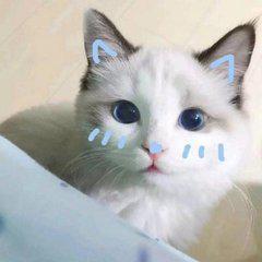 雪飞无声 