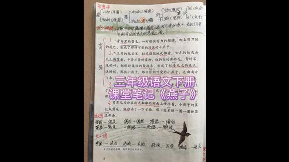 三年级语文课堂笔记《燕子》